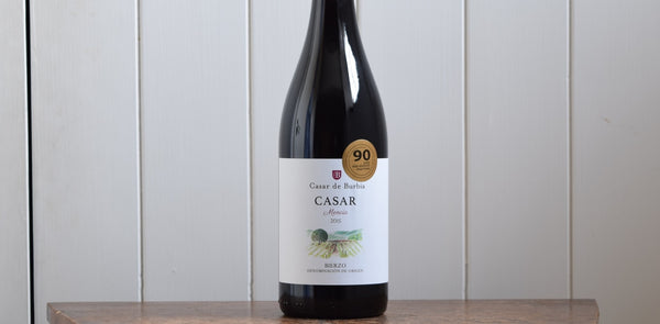 Casar de Burbia Mencia, Bierzo, Spain 2015 – The Wine Beagle